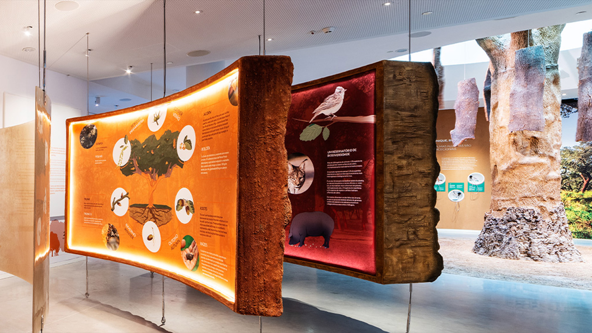 Museum Production and Interpretation Centers - Proasur